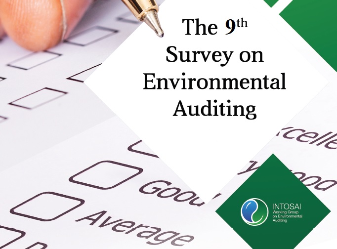 WGEA - Working Group on Environmental Auditing